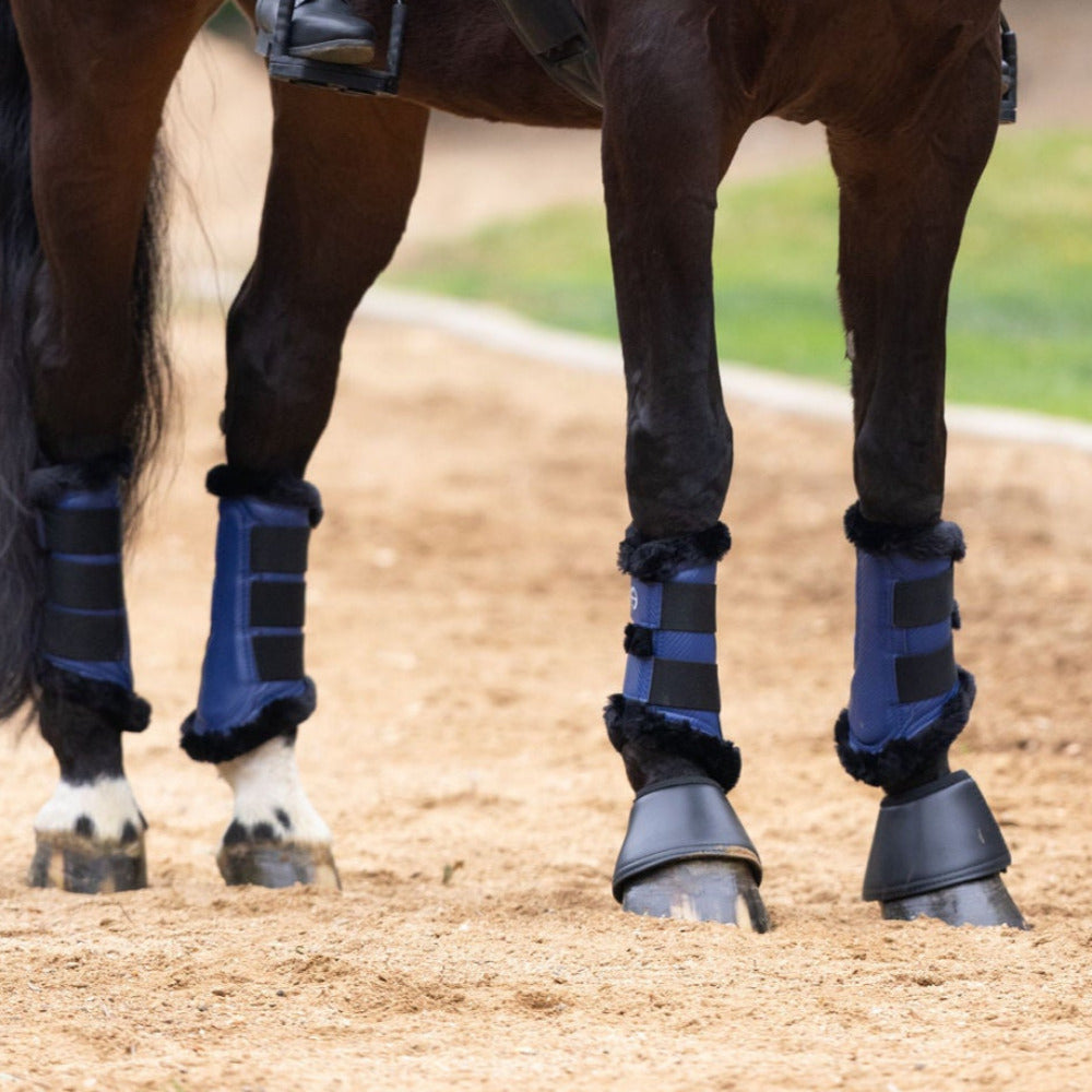 Halter Ego® Brushing Boots - Royal Blue – Marengo Equestrian